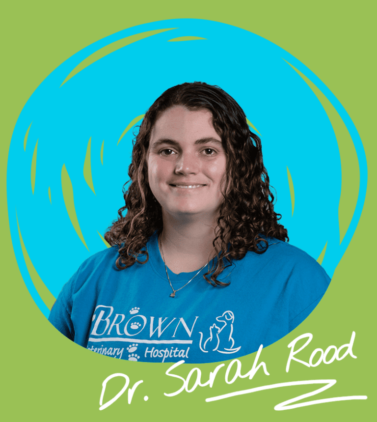 Veterinarian in Terre Haute, IN | Brown Veterinary Hospital